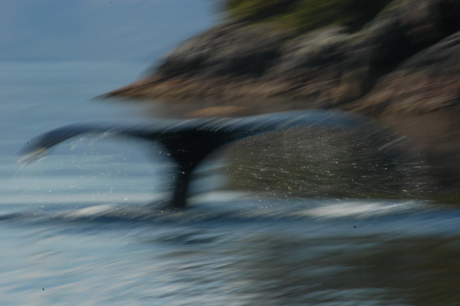 Garry and Carol's Travels: Prince Of wales Island - Craig/Klawock May 26