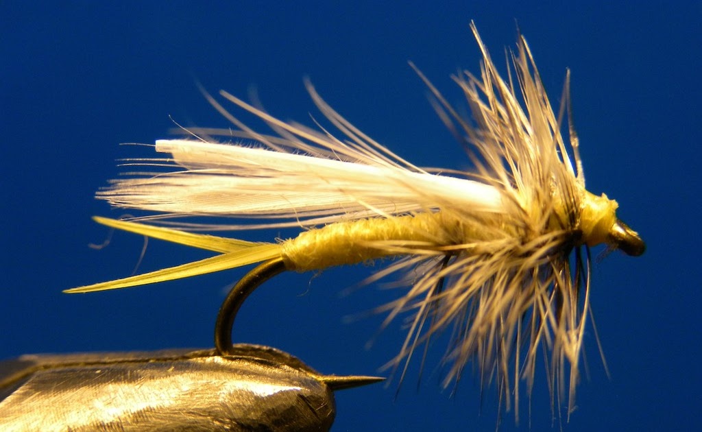Ruff Waters Fly Fishing: Golden Stonefly