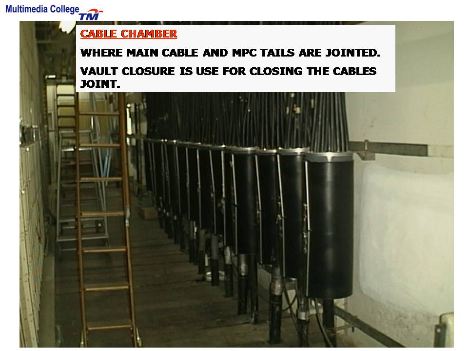 Teknologi Telekomunikasi: Rangkaian Pengagihan Pelanggan (CAN)