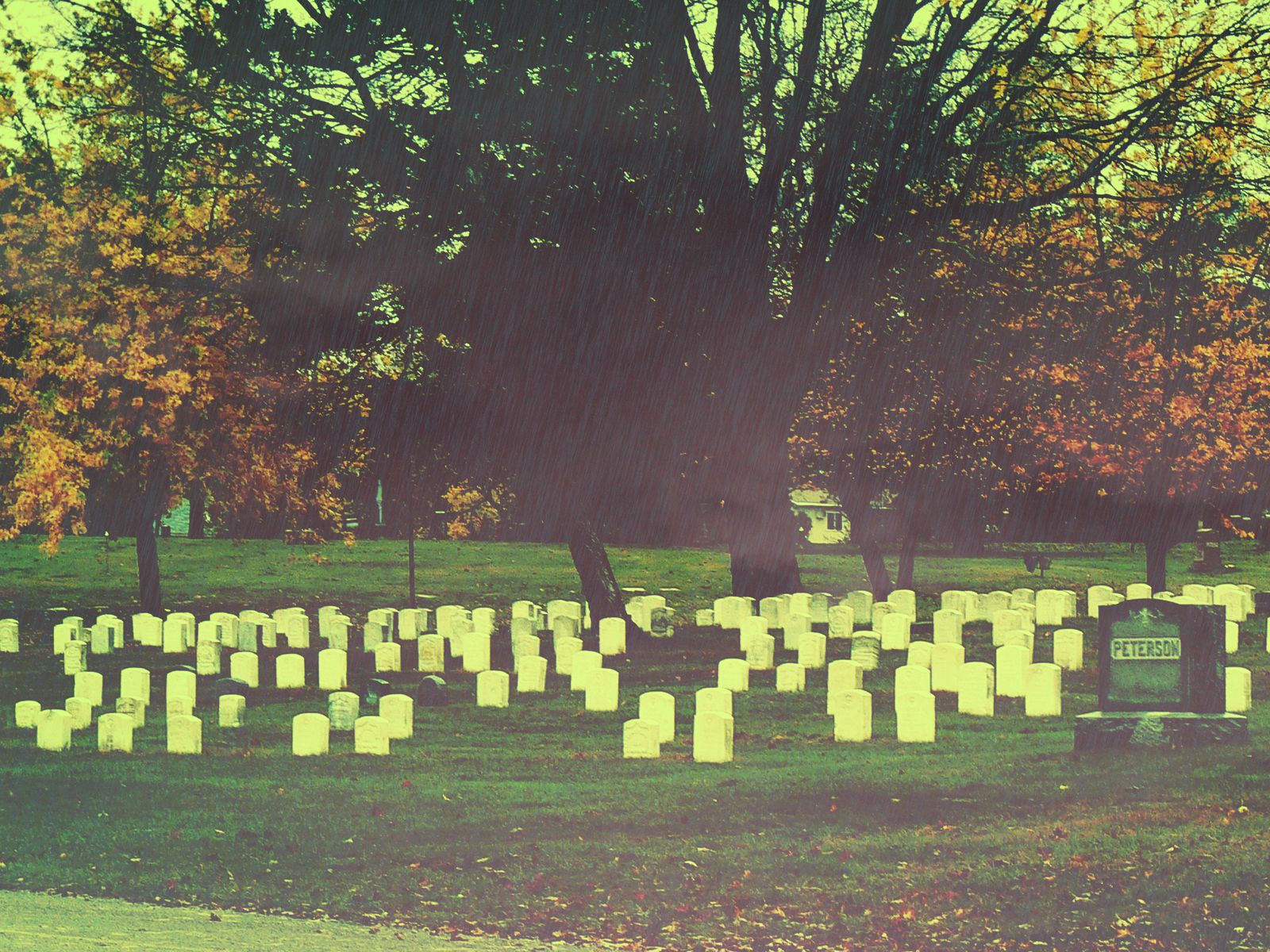 thatjeffcarter was here: Cemetery Rain