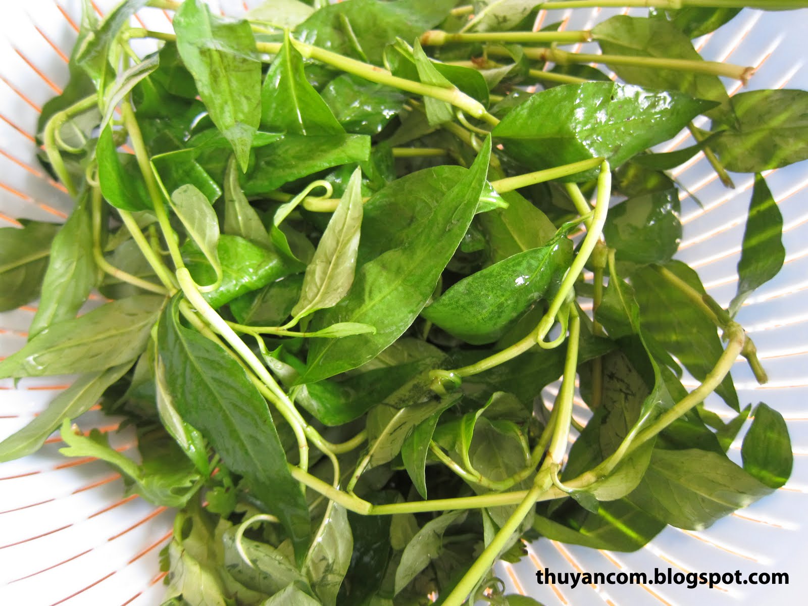 Blog of Salt: Vietnamese Herbs