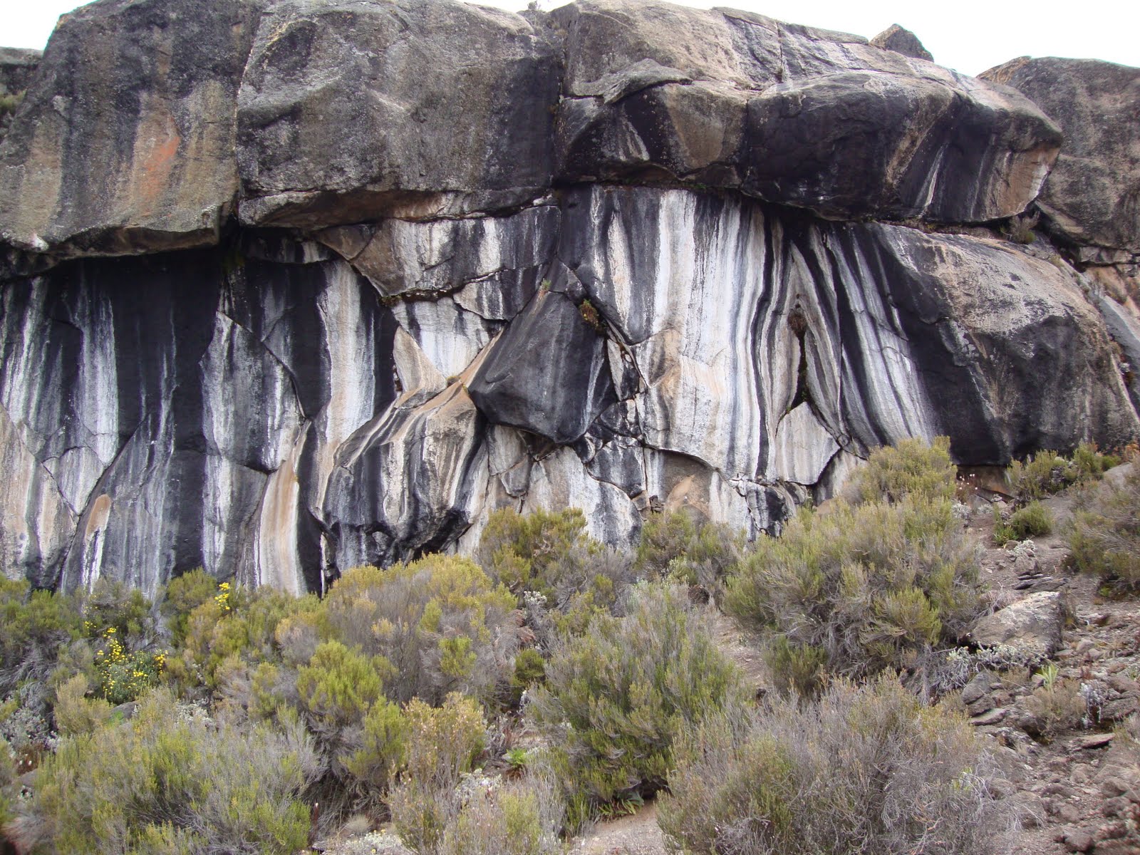 Kilómetros de Aventuras: KILIMANJARO. 2a ENTREGA.