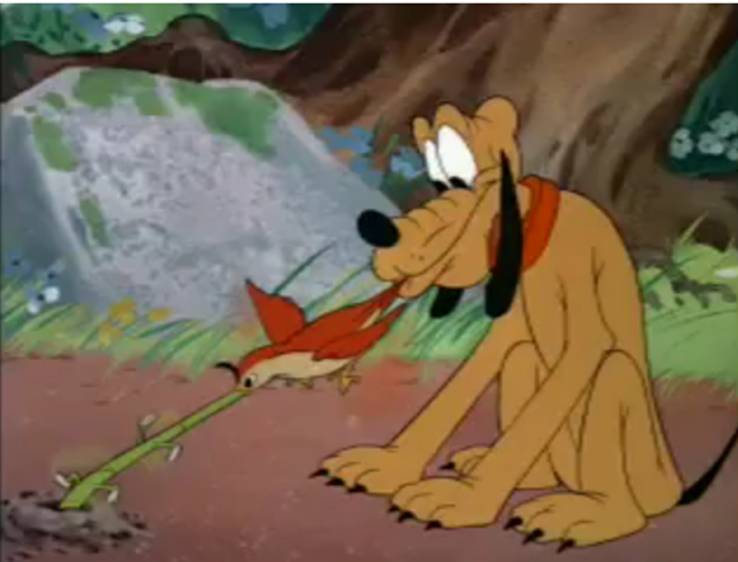 Disney Film Project: Springtime for Pluto