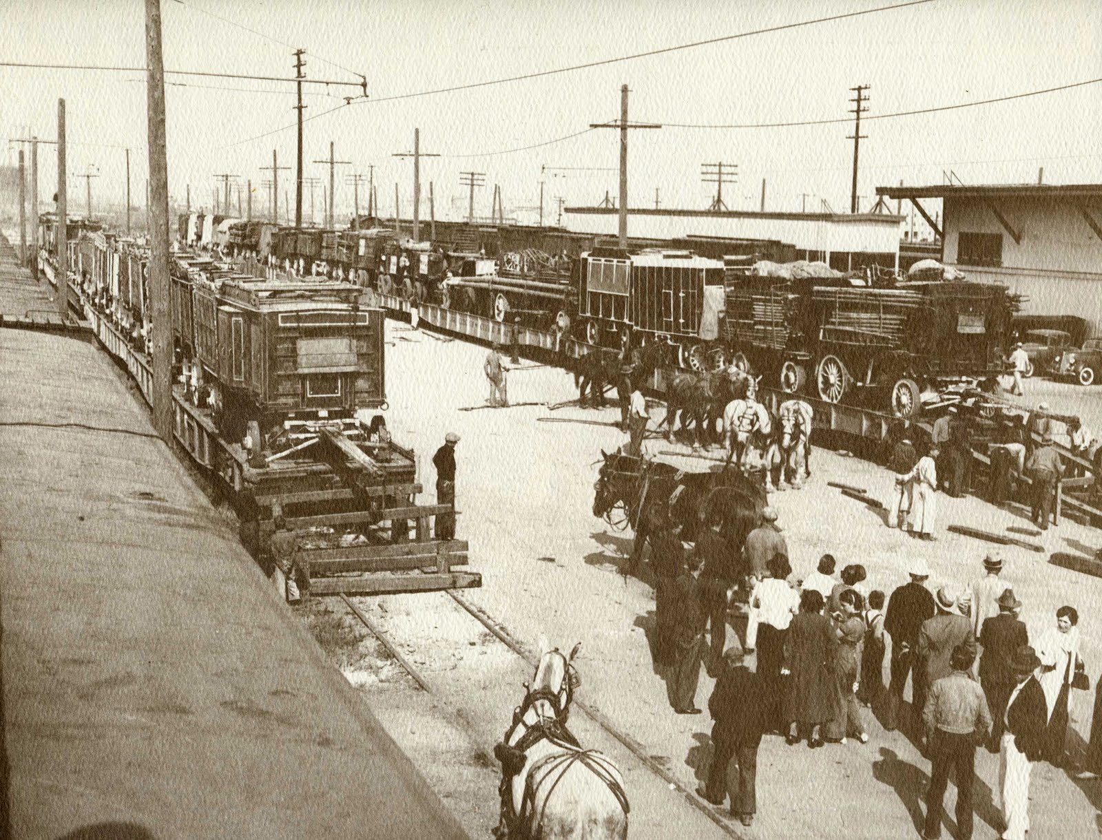 Sawdust and Spangles: Circus Trains