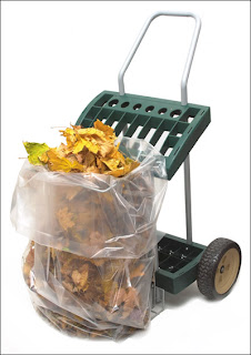 The Stroke Thrivers: Gardening