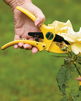 The Stroke Thrivers: Gardening