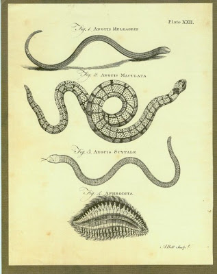 the gael gallery: design, weddings, decor, & fashion through the eyes ...