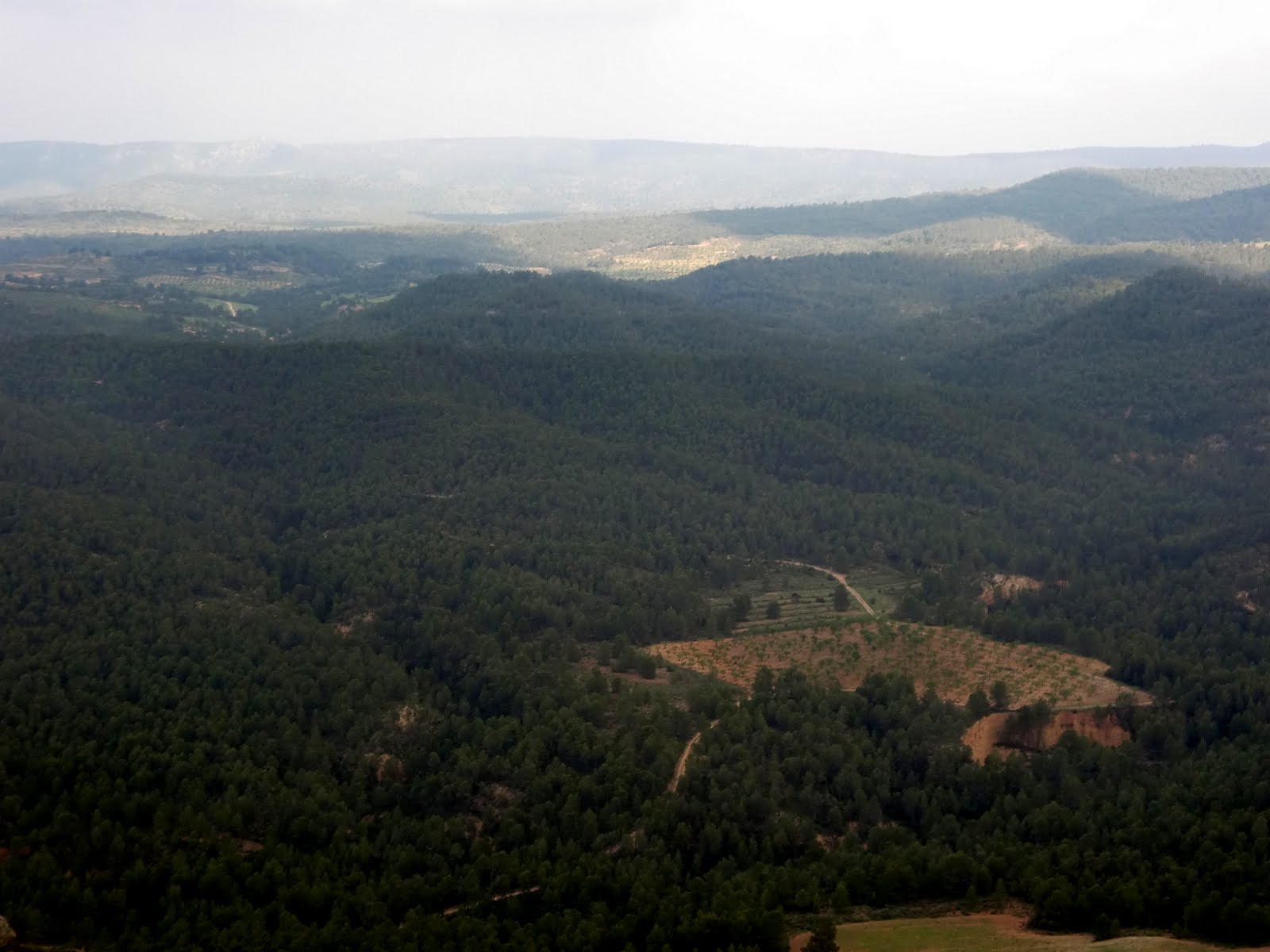 La Quebrada del Molino Viejo: RUTA DE SENDERISMO PIEDRA DEL MACALÓN