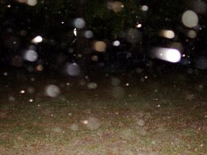 Encylopedia Paranormica: Spirit Orbs - The Real Story...