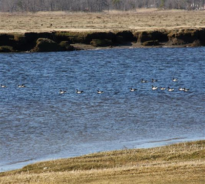 Life Looms Large: Colors of March