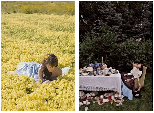 Darkrooms in northern light: PRESENTING CLAIRE ROSEN