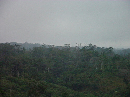 Tourism in real mexico - english version: Chimalapas jungle, jungle zoque