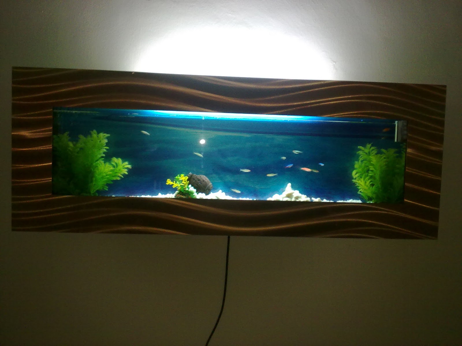 Wall Aquarium at Home: Step by Step: Installation Procedure