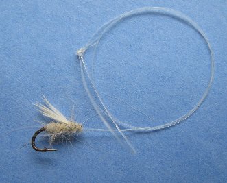 Medieval and Renaissance Flies