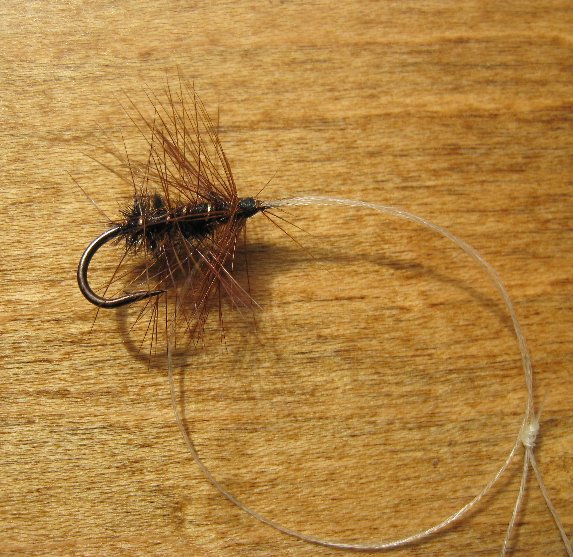 Medieval and Renaissance Flies