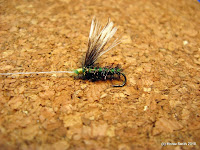 Medieval and Renaissance Flies