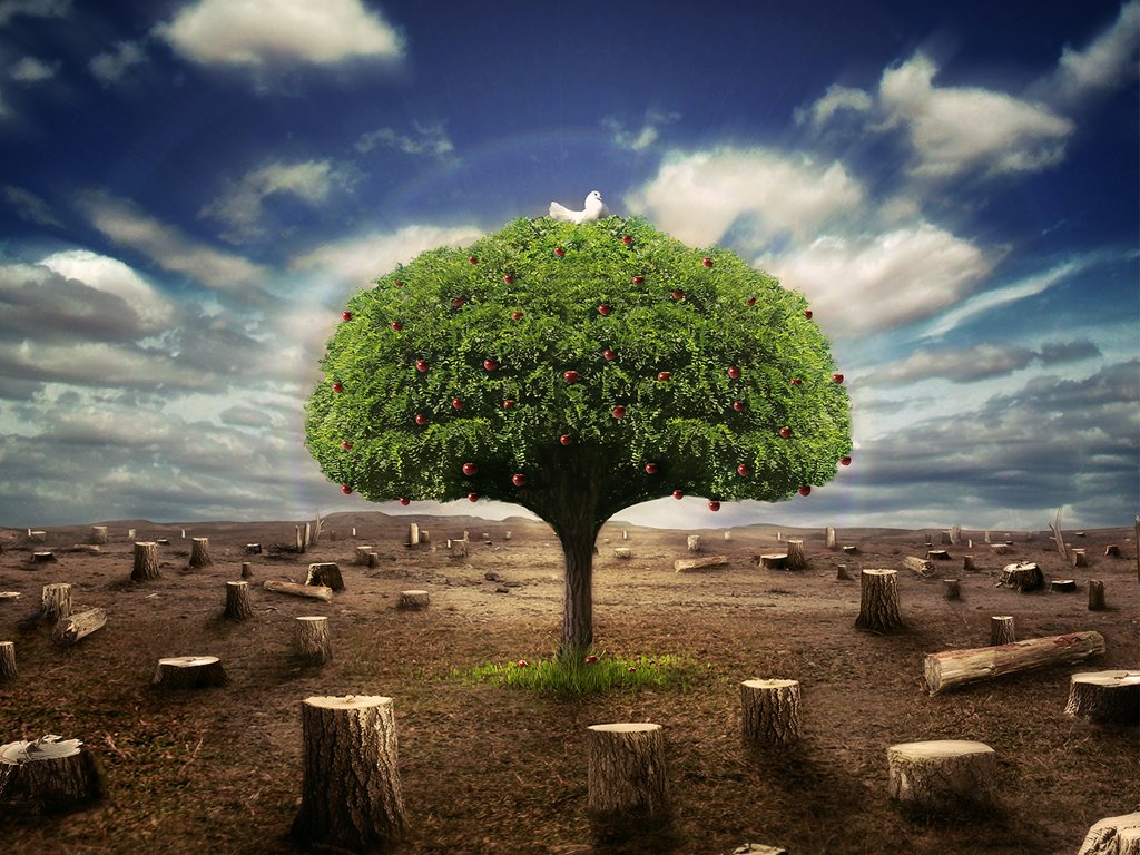 Deterioro Ambiental