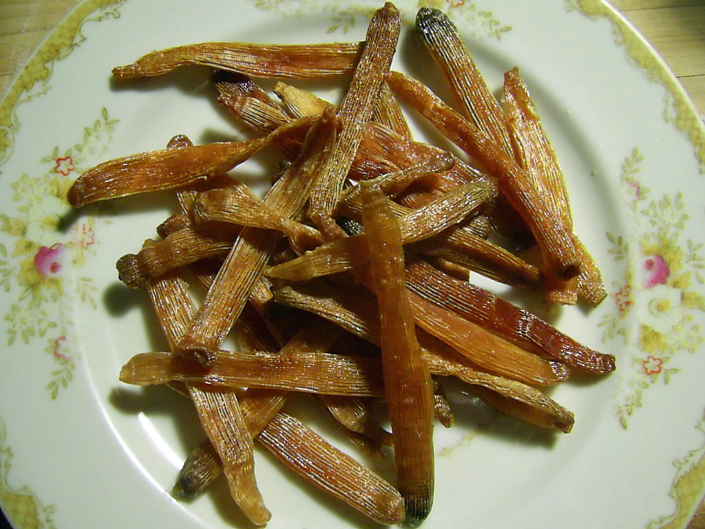 Eat That Blog: Sand Worms 沙蟲