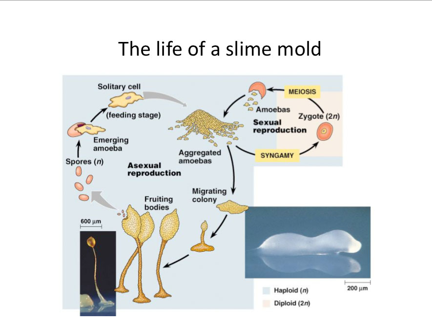 \m/Kwiss\m/: April 2010