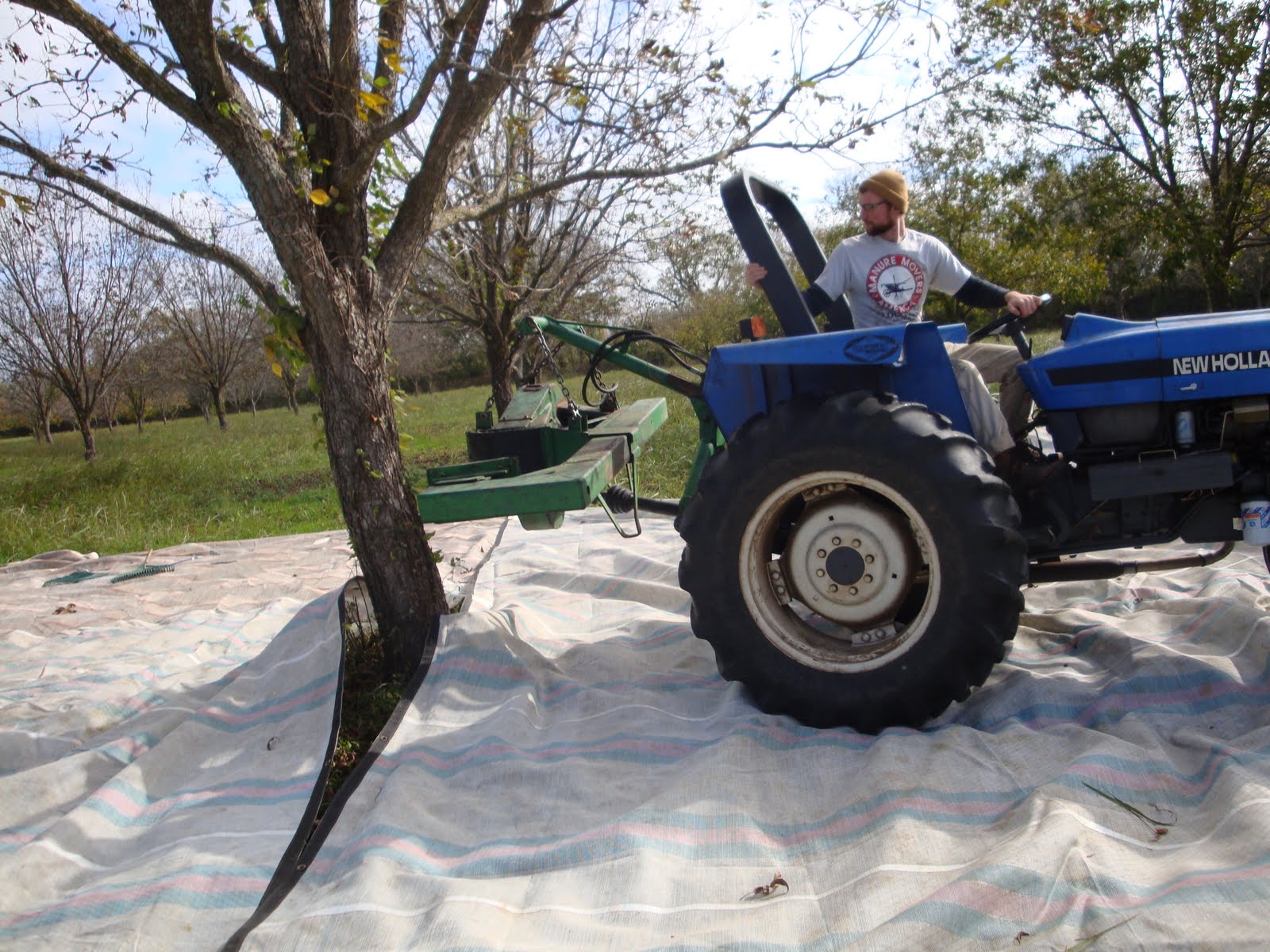 The Solution To All Your Pecan Problems | Waste-Not Wagon