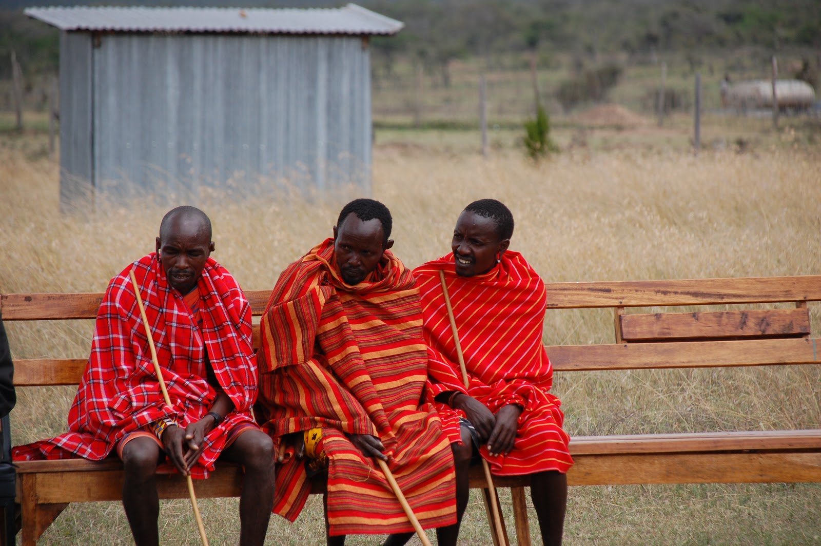 Trent's African Adventures: Adventure in the African bush.