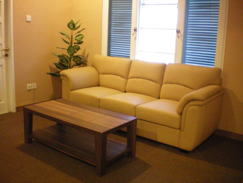 17+ Sofa Ruang Tamu Kantor, Top!