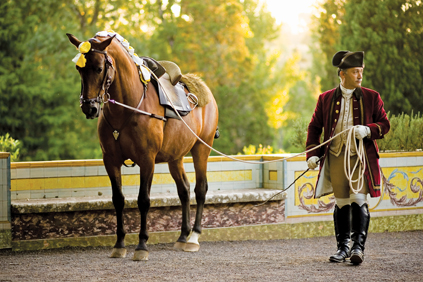 |=|Sítio Do Cavalo|=|: ALTER–REAL