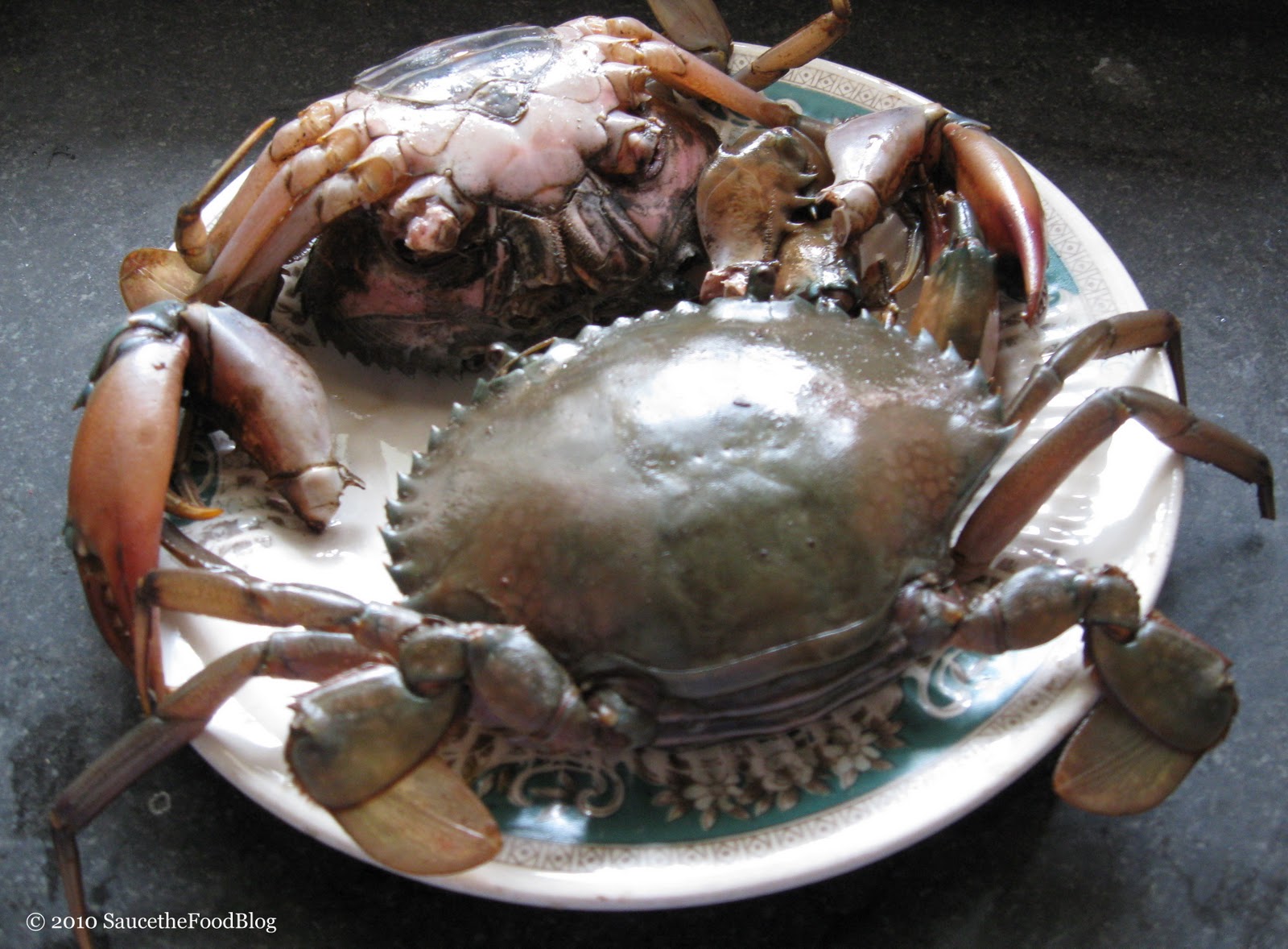 Sauce (The Food Blog): Curried Crab