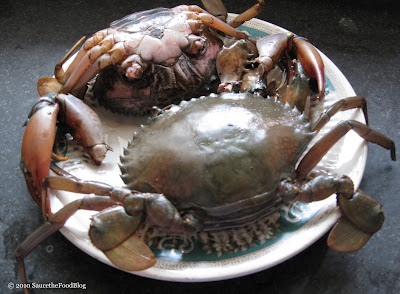 Sauce (The Food Blog): Curried Crab
