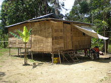 TARIAN SEWANG: ~ SEWANG : SENI PERSEMBAHAN ORANG ASLI