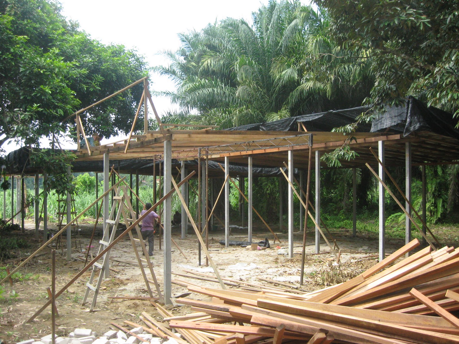 Cendawan Bizz Master: Mendirikan Rumah Cendawan Dan Rak