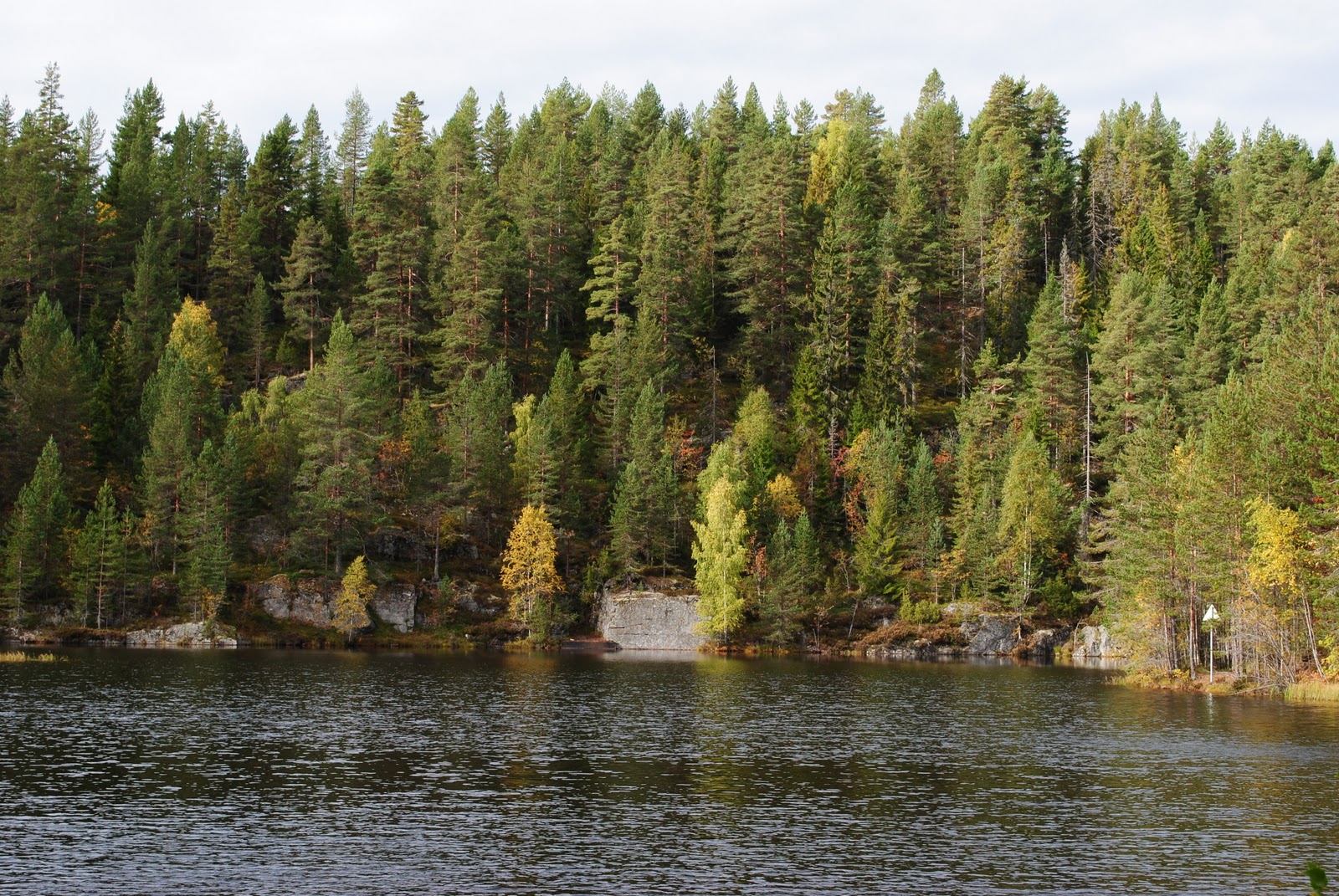 Turer med familien Thorsberg Mølgaard: Funkelia - lysløypa - Rundtjern ...