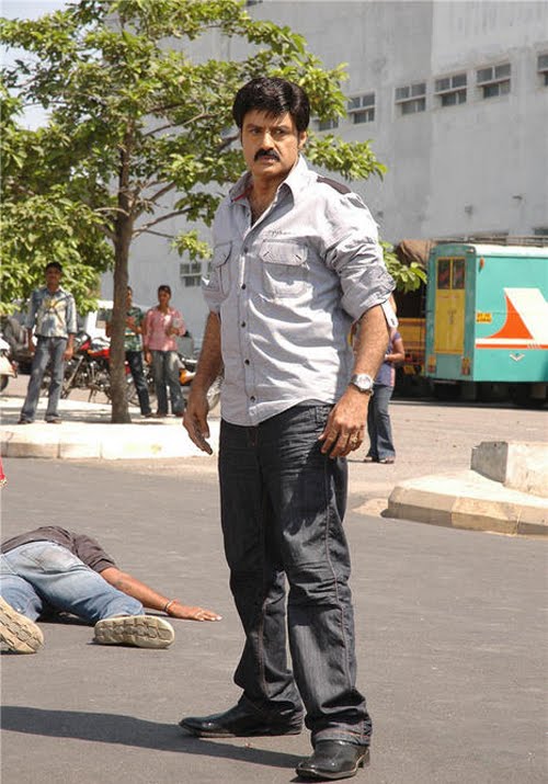 Latest Simha Movie Stills Gallery~4