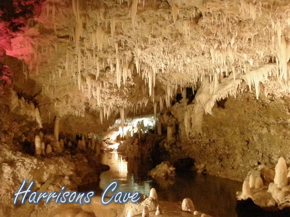 A Bajan Tour Girl Exploring Barbados: Harrisons Cave Barbados an ...