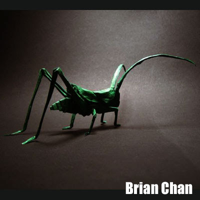 BRIAN CHAN's Advanced Origami | SiouxWIRE