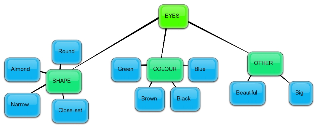 1C 2010-2011: EYES MINDMAP