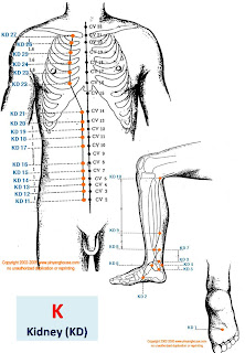 Patch for Health: Meridian Pathway - Graphic Guide
