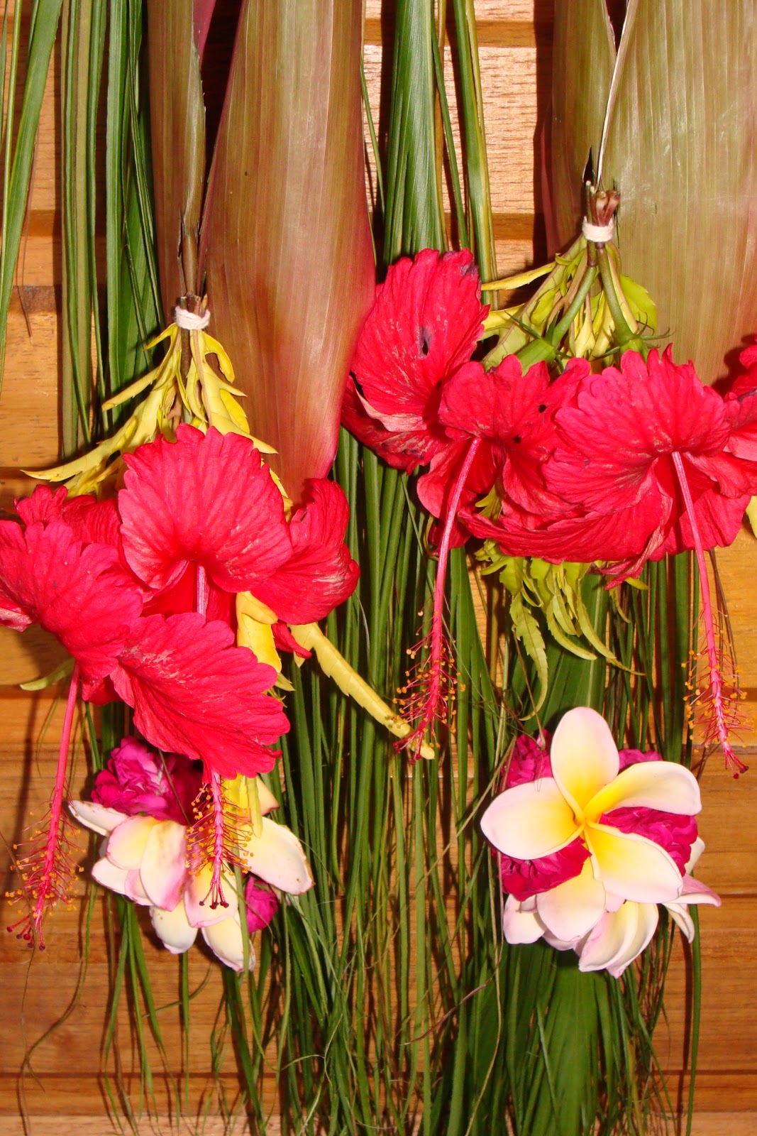 Live. Love. Travel.: Fiji Plants and Animals