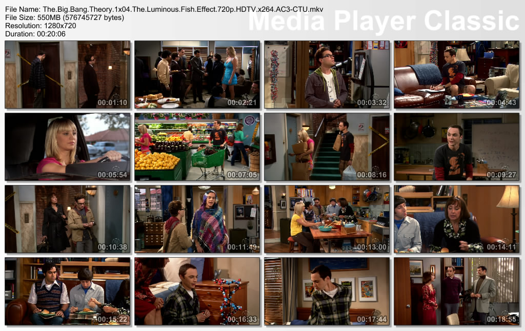 The Big Bang Theory Sezon 6: S01E04 The Luminous Fish Effect