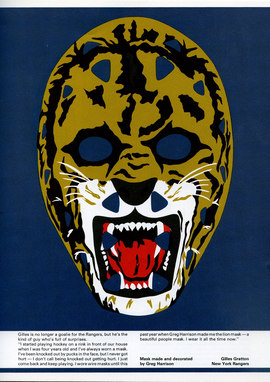 MY HOCKEY CARD OBSESSION: STASHED IN THE CLOSET - Vintage Goalie Mask Book