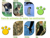 Animales de todos los continentes.