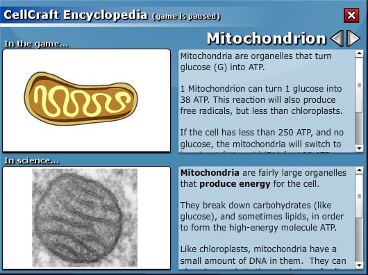 CellCraft: jogo online de biologia celular