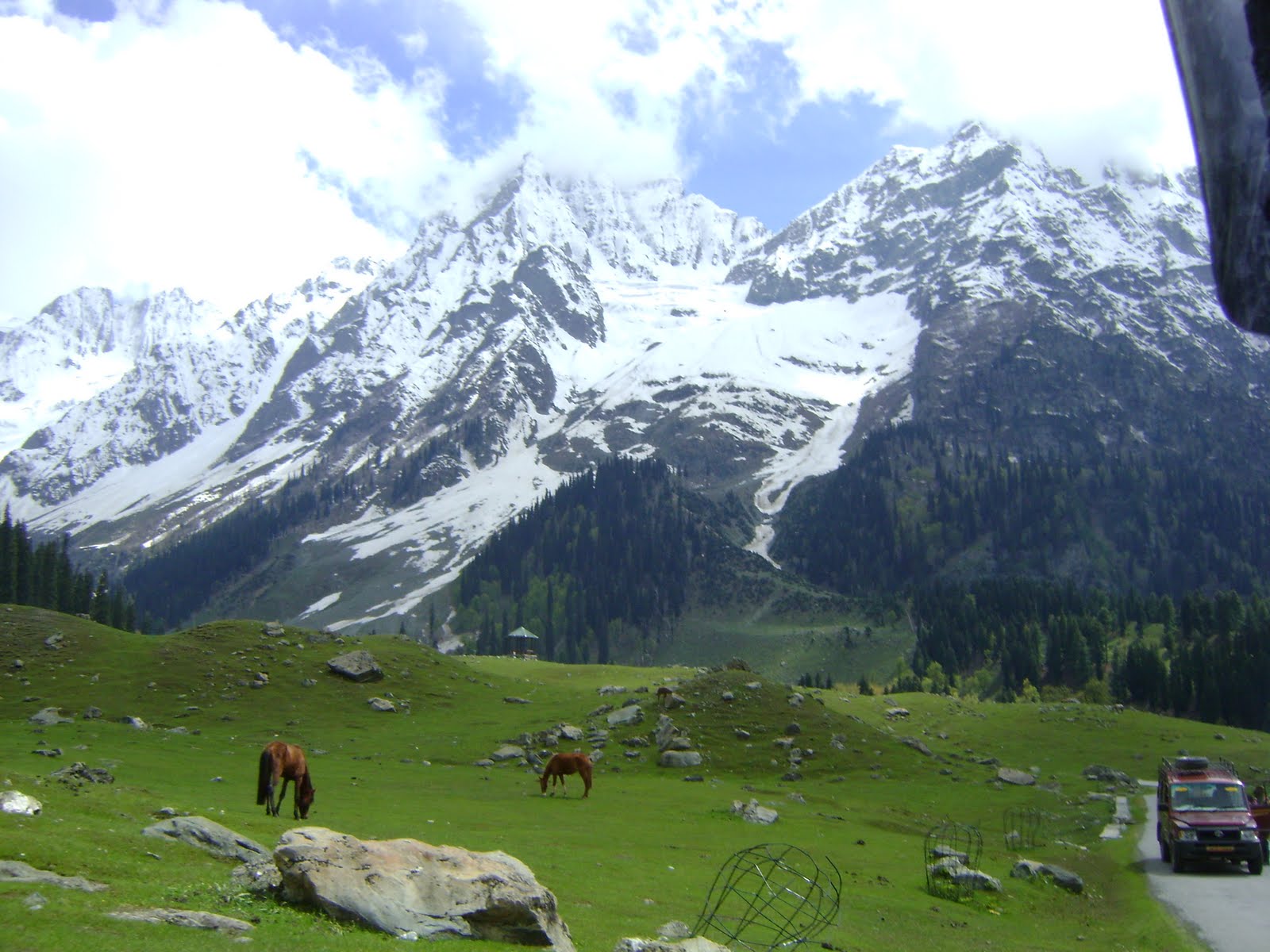 Pages from my mind...: KASHMIR EUPHORIA - Part Three (Sonmarg)