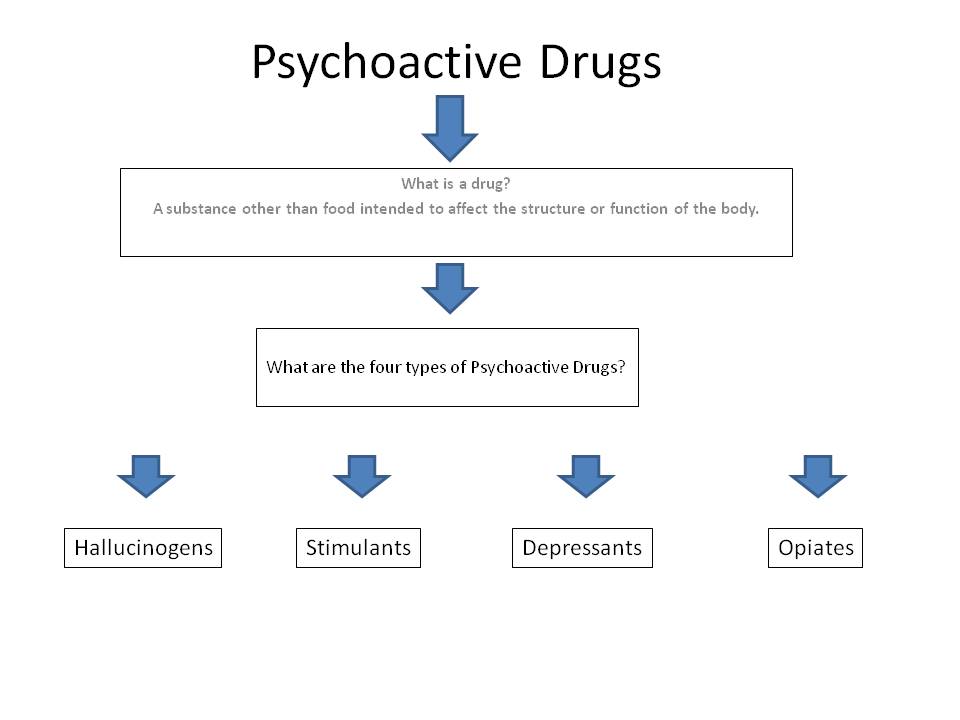 ballerblog: Concept Mapping
