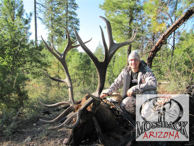 A3 Trophy Hunts LLC : Team Mossback Arizona's 2010 Elk Season ...