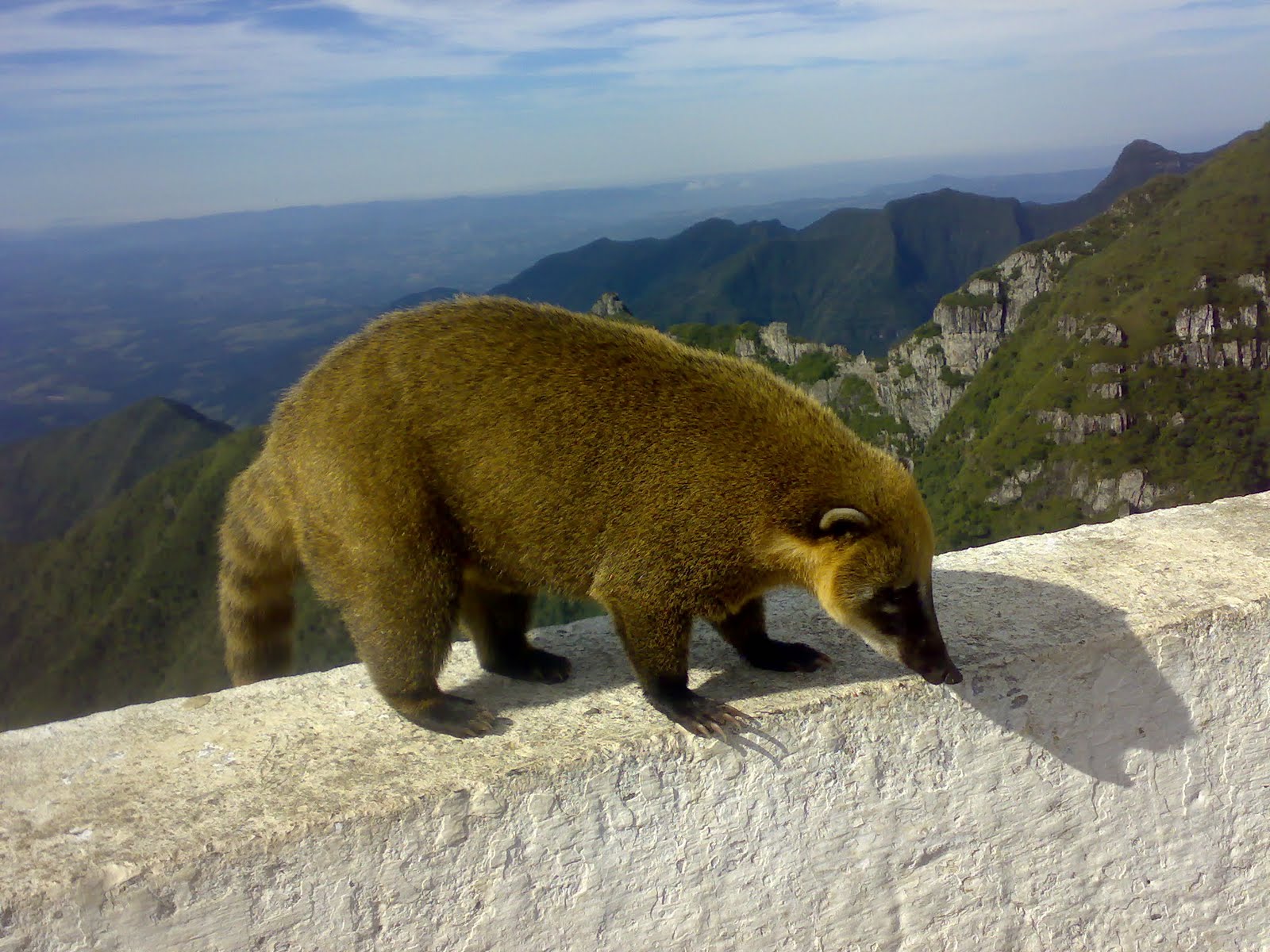 Alex Fulcher: Fotos do MIRANTE da SERRA DO RIO DO RASTRO, Lauro muller, SC