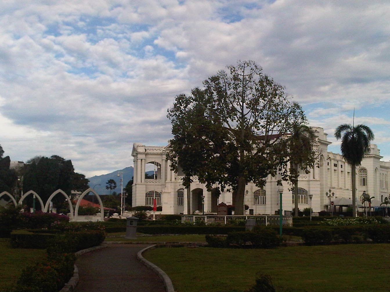 Lapan Hari Seminggu: Pokok Ipoh