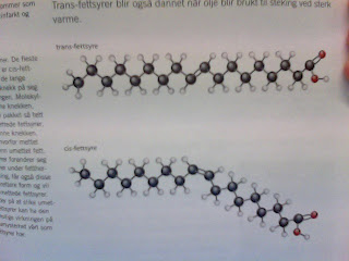 lilliansnaturfag: Forsøk - Bygg modell av en cis-fettsyre og en trans ...