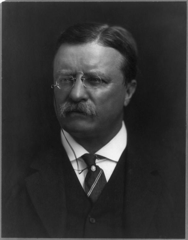 The Vantage Point: The Man in the Arena