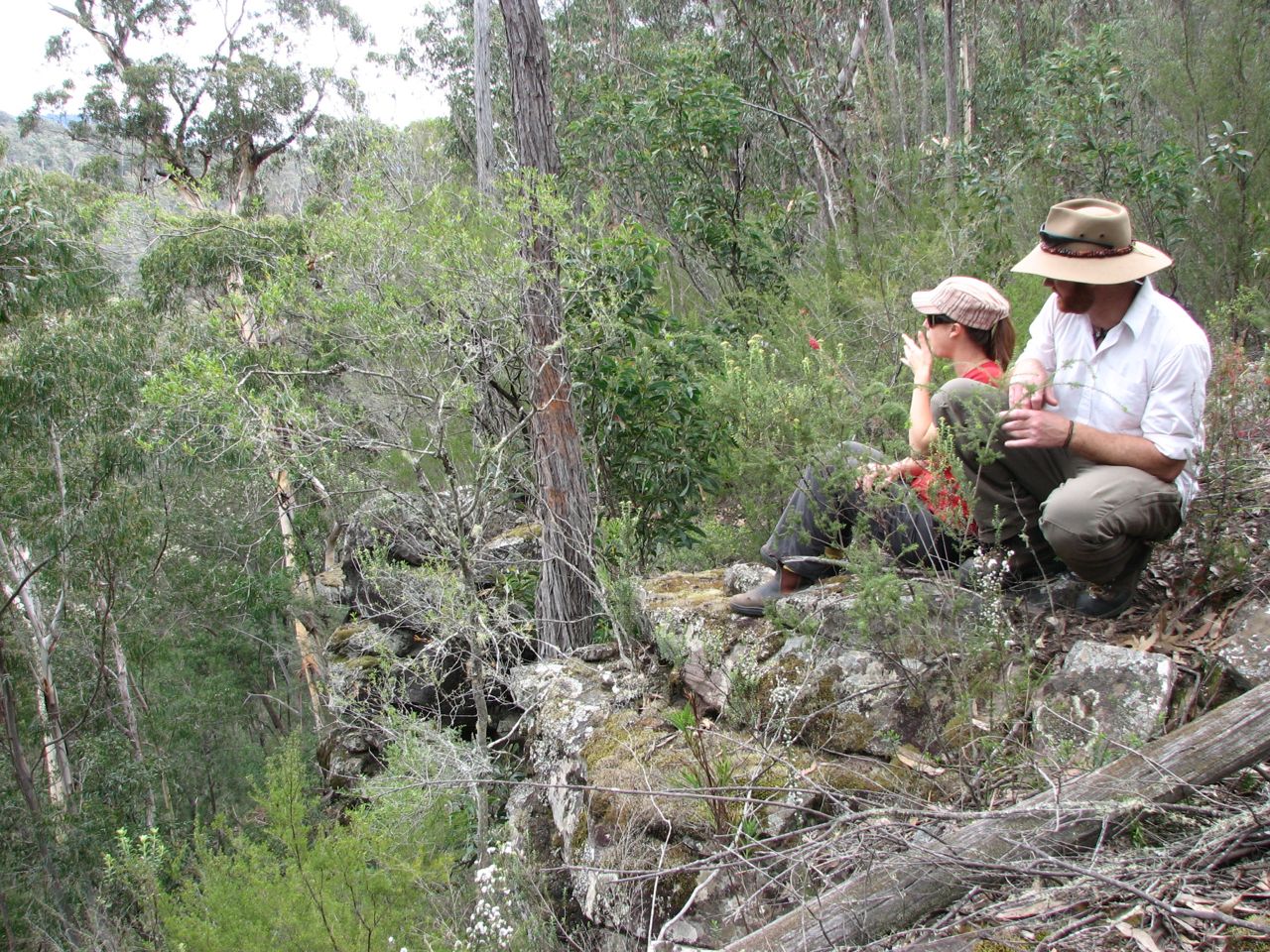 Bega Valley Bushwalkers 2010 blog